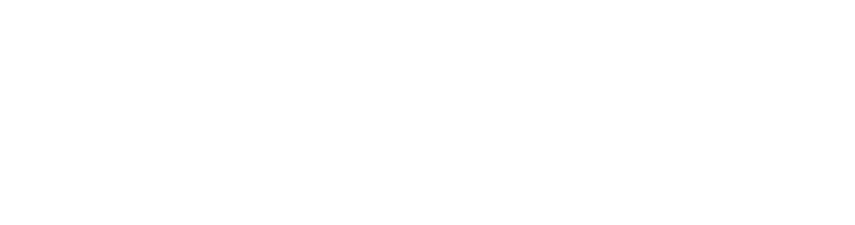 Priebe Security Services - Austin, TX - Security Solutions